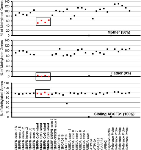Methylation Patterns Generated Using Methylation Specific Multiplex