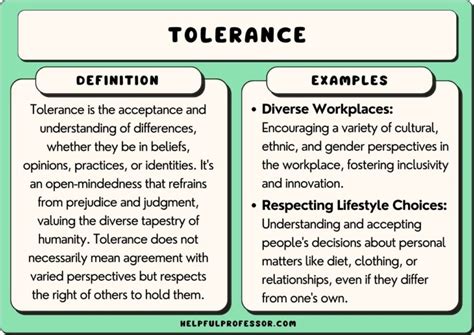 15 Tolerance Examples 2025