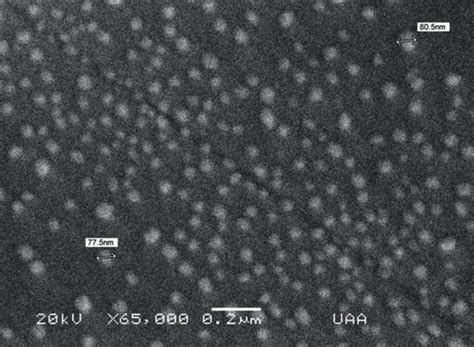 The SEM Image With Morphology And Size Of TiO2 Nanoparticles 56000x Download Scientific Diagram
