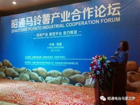 昭通馬鈴薯產業合作論壇助力脫貧攻堅 每日頭條