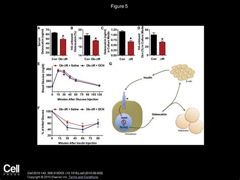Volume 142 Issue 2 Pages July 2010 Ppt Download