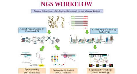 Next Generation Sequencing Workflow