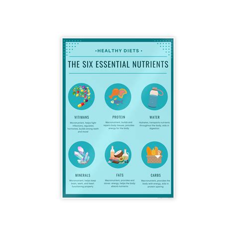 Healthy Eating 6 Essential Nutrients Poster Etsy