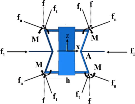 Free Body Diagram Of The Auxetic Cell Under Vertical Loading Download Scientific Diagram