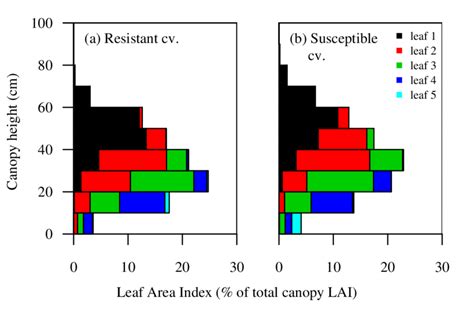 3 Vertical Distribution Of Leaf Area Index Leaf Area Per Area Of
