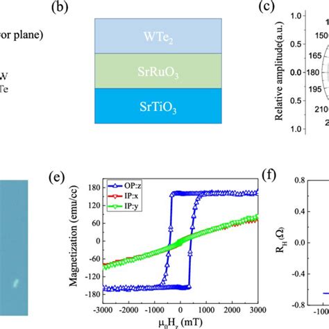 A Crystal Structure Of Wte 2 The Red Ball And Gray Ball Represent W Download Scientific