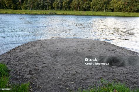 강둑에있는 모래 언덕 파도에 의해 던져진 퇴적물 멀리에는 소나무 숲 간빙기 동안의 빙하 풍경이 있습니다 수영 선수에게 인기 가정 생활에 대한 스톡 사진 및 기타 이미지