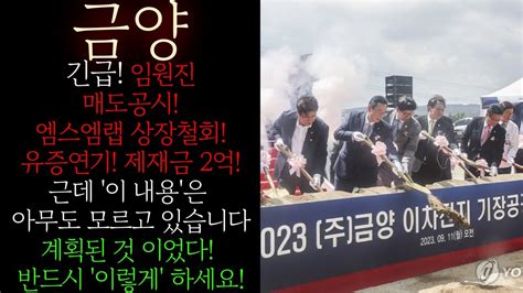🔵 금양 긴급 에스엠랩 불발 사태 임원매도 주식선물 하락 3단계 도달 정말로 끝인가 그 이면에 있는 이슈가 있습니다 무조건 이 방법으로 대응 준비 금양목표가