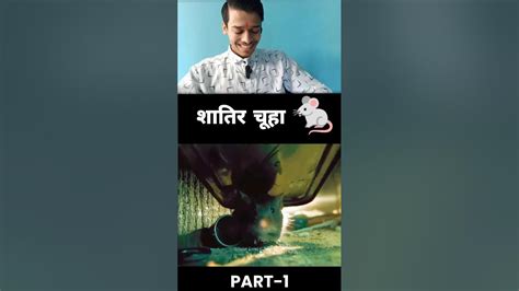 Kya Chuha Hai 😳 Mouse Viralreels Youtube