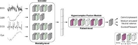 Figure 1 From Hypercomplex Multimodal Emotion Recognition From Eeg And Peripheral Physiological
