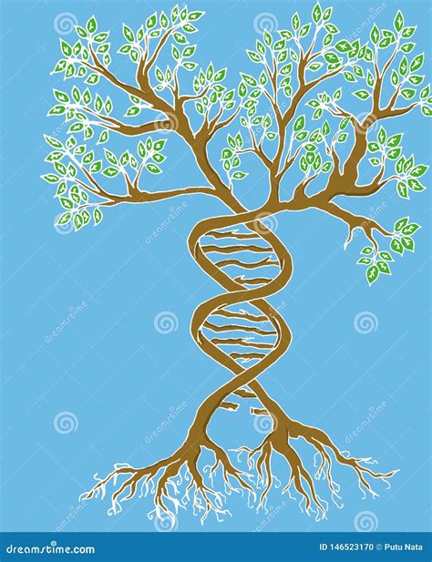 Blue Background Of Genetical Tree Stock Illustration Illustration Of