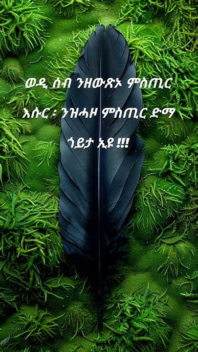 eritrean eritreanmusic habesha eritreancomedy eritreanews eritreanfilm eritreanmovie