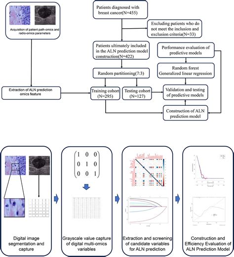 Early Warning Of Axillary Lymph Node Metastasis In Breast Cancer Pati