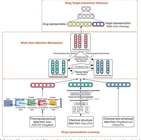 Figure 1 From A Knowledge Enhanced Multi View Framework For Drug Target