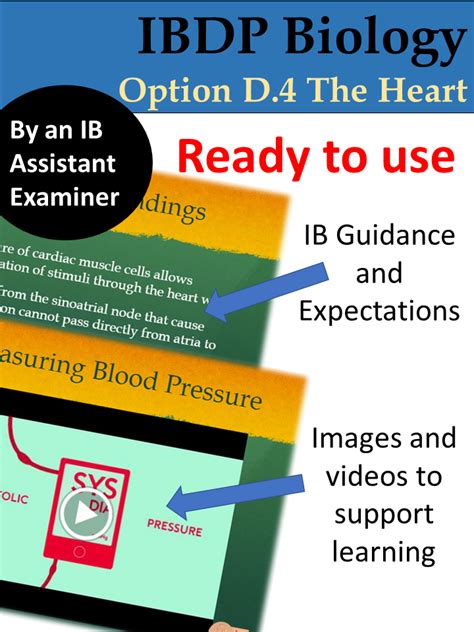 Ib Biology Option D3 The Heart Ppt Teaching Resources