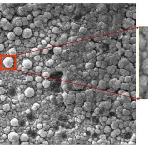 Sem Micrograph Of The Tungsten Surface After Plasma Irradiation In