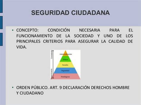 Seguridad Ciudadana