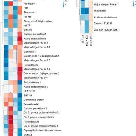 Differential Expression Profile Of Pathogenesis Related Pr Genes In