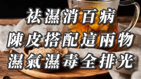 祛濕消百病，陳皮搭配這兩物，濕氣濕毒全排光了，全身病痛都消失了 養生健康小妙招 Youtube