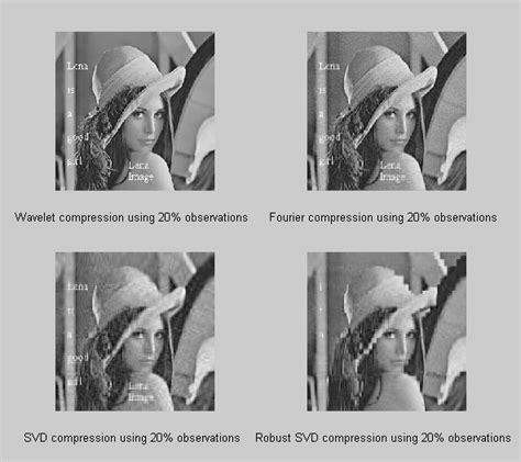 Denoising Performance Among Wavelet Fourier Svd And Rsvd Download