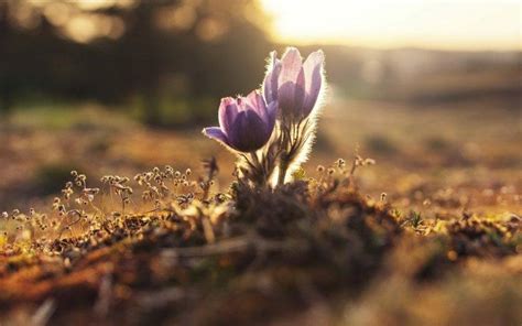 Гороскоп на 7 квітня ризик турбота та нові можливості для всіх знаків Зодіаку Читайте на Ukr Net