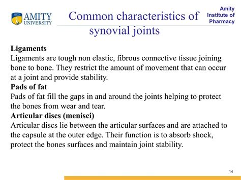Type Of Joints Structural And Functional Classification Types Of