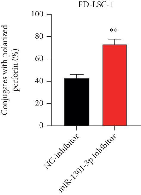 Mir 1301 3p Regulates Lscc Proliferation And Impacts The Susceptibility Download Scientific