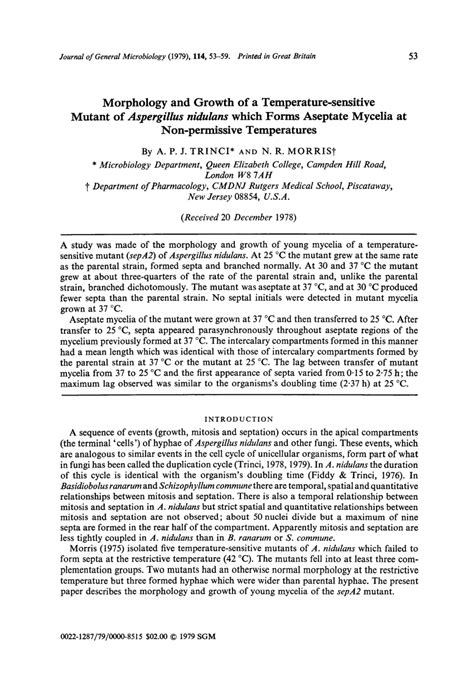 Pdf Morphology And Growth Of A Temperature Sensitive Mutant Of Aspergillus Nidulans Which