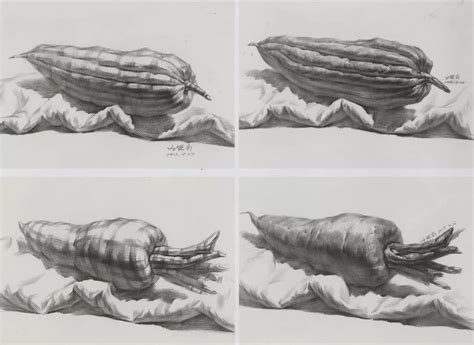 素描静物教程：素描单体最全临摹范本与画面构图技巧 搜狐大视野 搜狐新闻