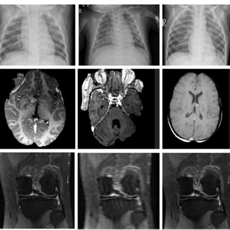 Examples From The Datasets Download Scientific Diagram