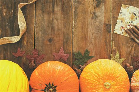 호박 가 단풍 나무 배경 추수 감사절과 할로윈 개념입니다 상위 뷰 0명에 대한 스톡 사진 및 기타 이미지 0명 10월 가을 Istock