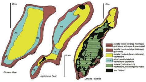 Sediment Distribution On The Belize Atolls Based On The Quantitative