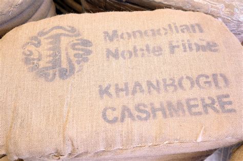 Монгол ноолуурыг Итали улс руу анх удаа газраар тээвэрлэжээ