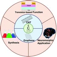 Synaptic Transistors And Neuromorphic Systems Based On Carbon Nano Materials Nanoscale RSC