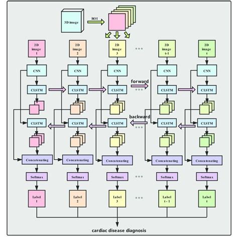 classification metrics for automated cardiac disease diagnosis on acdc