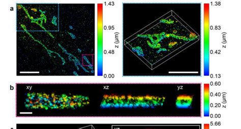 3d Single Molecule Super Resolution Microscopy With A Tilted Light Sheet