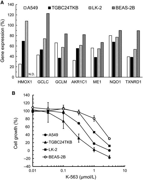 Keap1 Nrf2 Pathway Inhibition And Cell Growth Inhibition Of The Keap1‐ Download Scientific
