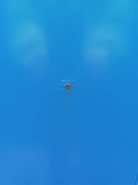 Paint Defects What Is Blistering What Causes Blistering And How Can