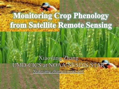 Monitoring Crop Phenology From Satellite Remote Sensing