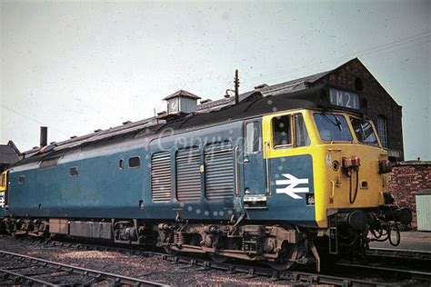 The Transport Treasury Class 50 Ght4692 Uk Br Class 50 50031 At