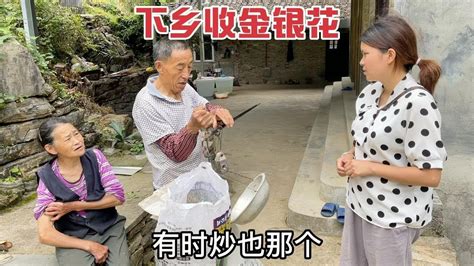 带媳妇下乡收老品种金银花幸亏有好心大叔帮助收获才有10多斤 YouTube