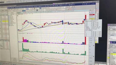 Ls머트리얼즈포스코dx한올바이오파마 Youtube