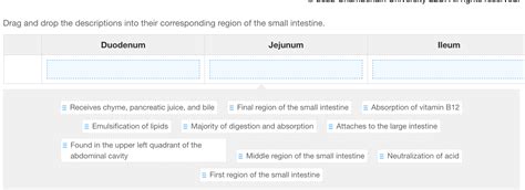 Solved Drag And Drop The Descriptions Into Their