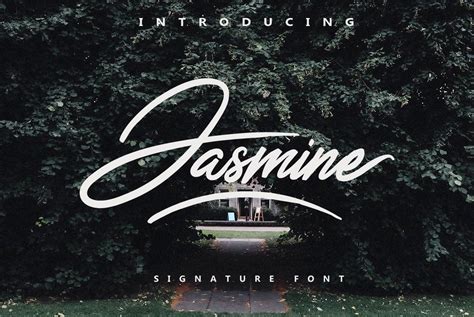 Jasmine Script Font YouWorkForThem Signature Fonts Free Fonts Download Script Fonts Jasmine Script Font YouWorkForThem Signature Fonts Free Fonts Download Script Fonts