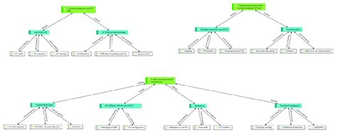 Summary Of Themes Subthemes And Units Of Meaning Download