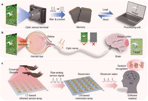 An Infrared Near‐sensor Reservoir Computing System Based On Large‐dynamic‐space Memristor With