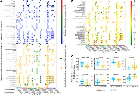 Frontiers Genome Wide Screening Of Sex Biased Genetic Variants Potentially Associated With