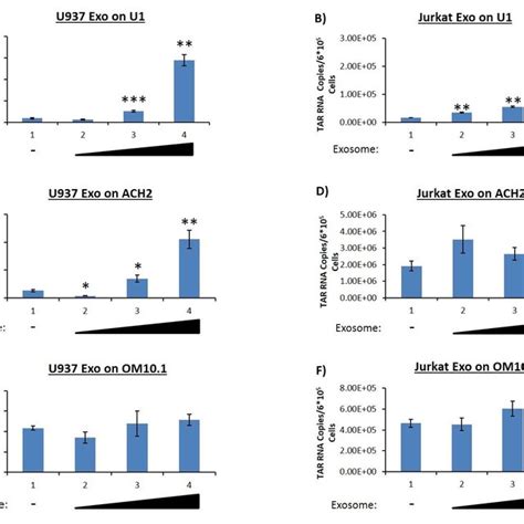 Presence Of Short Rna Transcripts In Wild Type Hiv 1 Infected T Cells Download Scientific