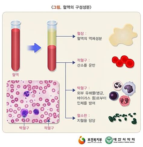 마디사랑병원 Community Blog