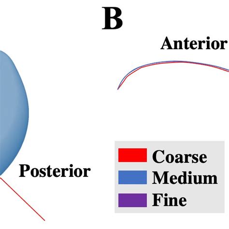 Mitral Valve Closing Profiles A Location At Which The Slices Were Download Scientific
